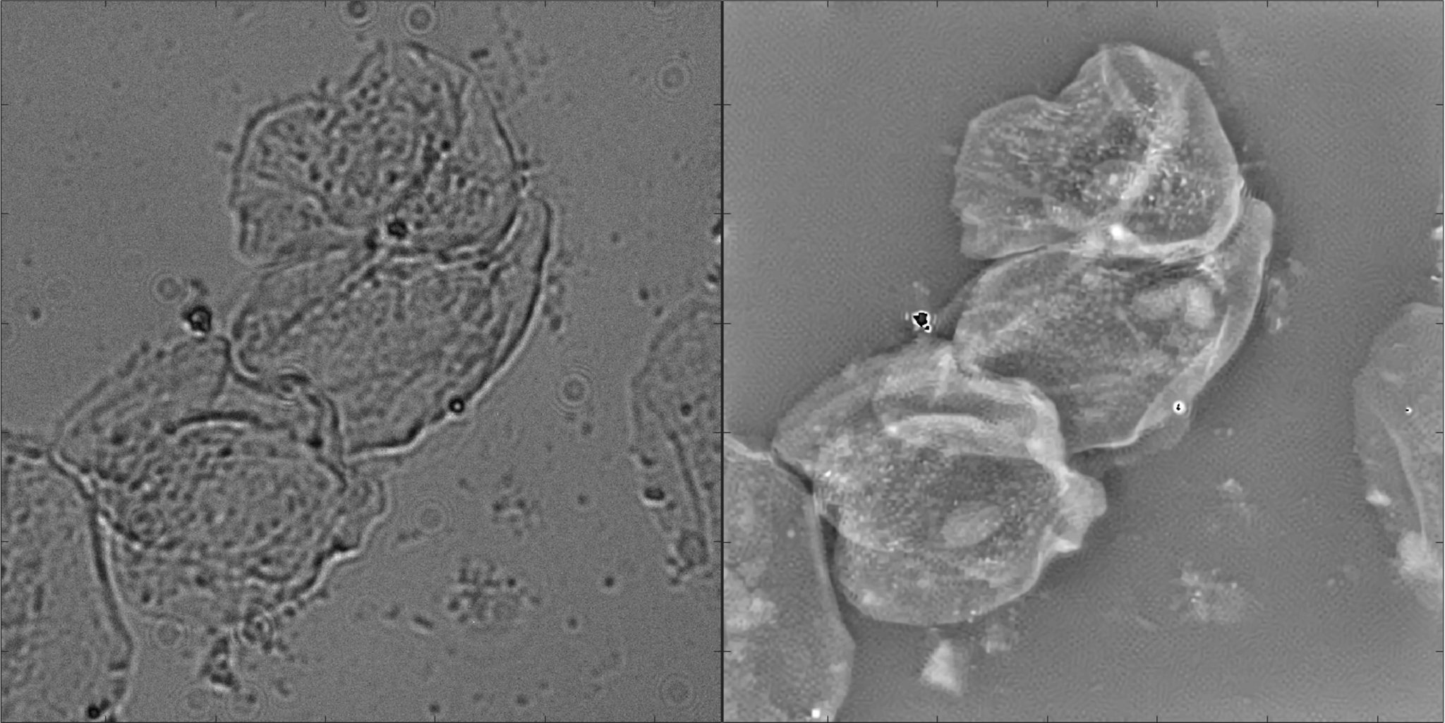 Open Source Software – Quantitative Computational Imaging LAB